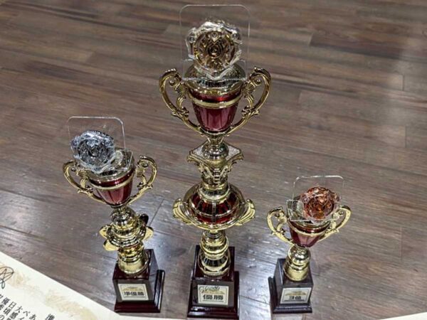 How to Win Beyblade Tournaments: The “Master” Blader who won the final ...